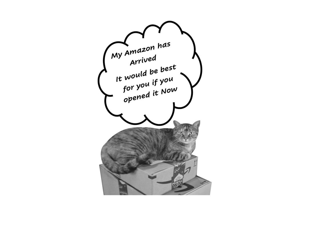 Funny Amazon Cat Sticker Iron-on Magnet - Etsy