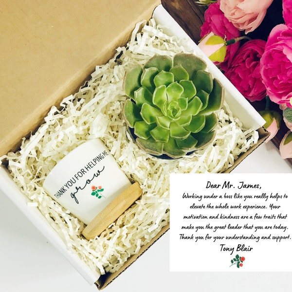 Succulent Gift Box - Etsy