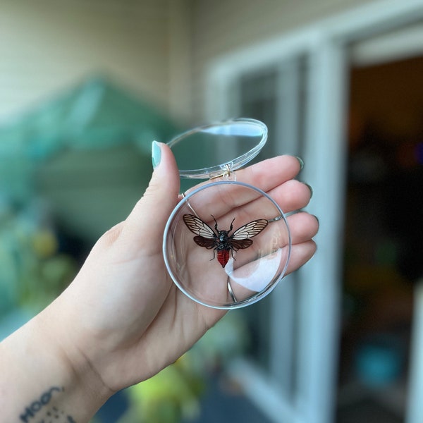 Insect Ornament - Etsy