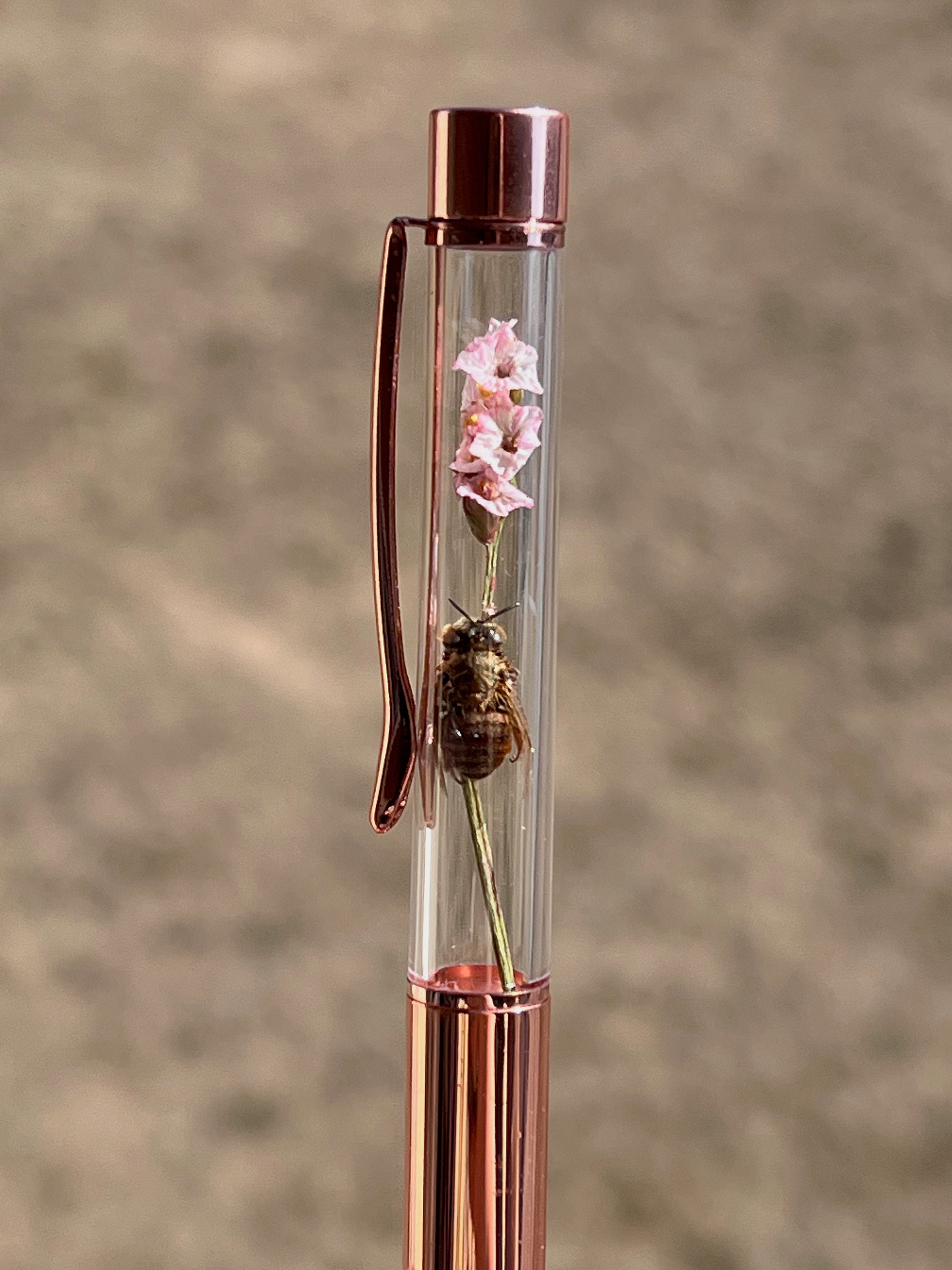 Real Taxidermy Bee Pens Enclosed With Dried Flowers and Moss - Etsy