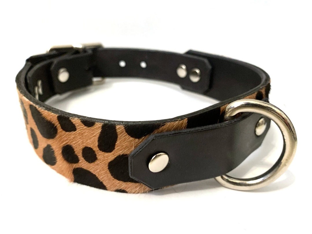 Cheetah Print Hair-on Cowhide Leather Collar - Etsy