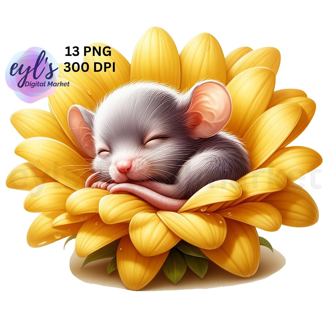 Mouse and Flower Clipart, 13 High Quality PNG Bundle, Cute Nursery Wall ...