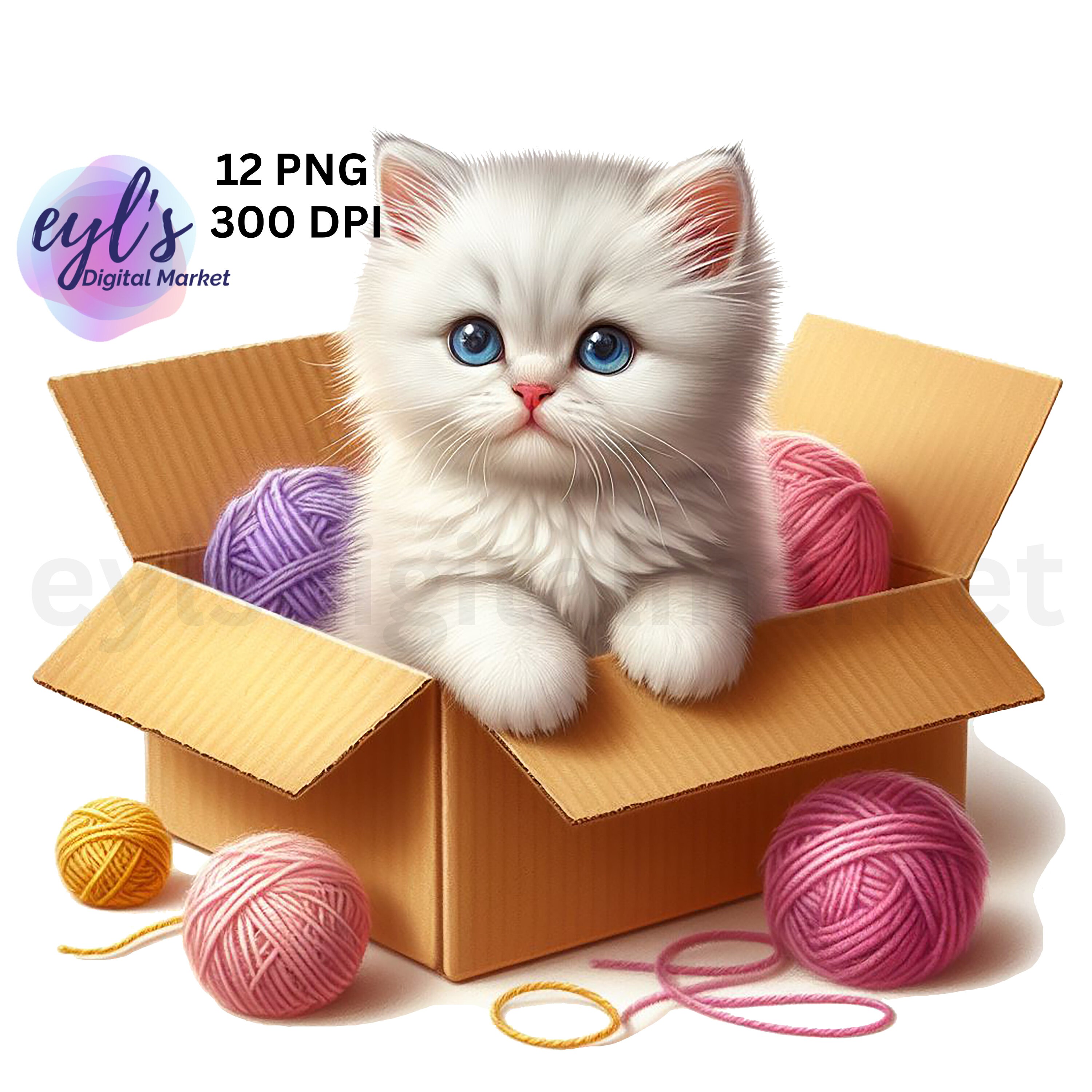 Kitten With Box Clipart, 12 High Quality PNG Bundle, Nursery Wall Art ...