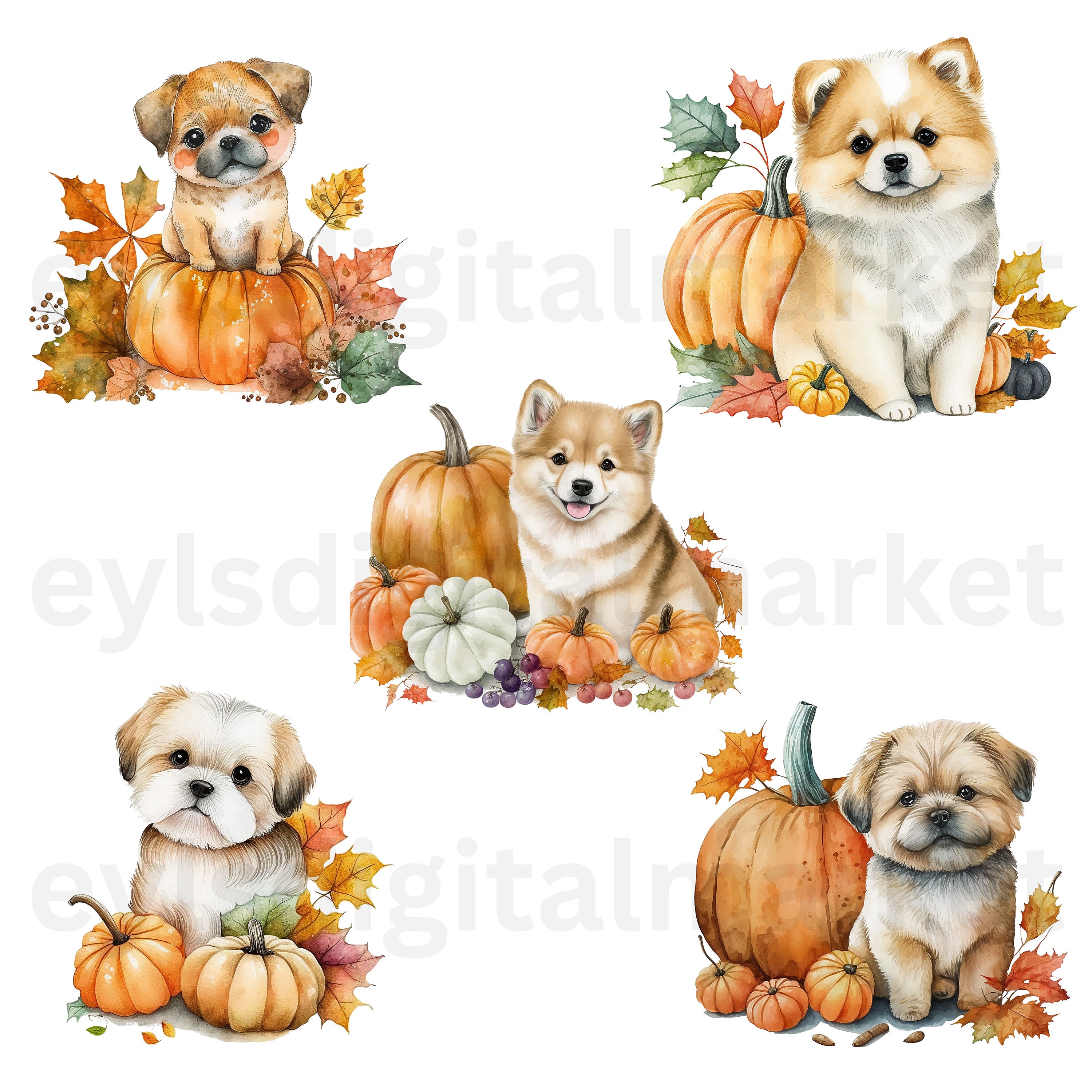 10 Watercolor Dog With Pumpkin Clipart, Cute Animal Puppy, Fall Autumn ...