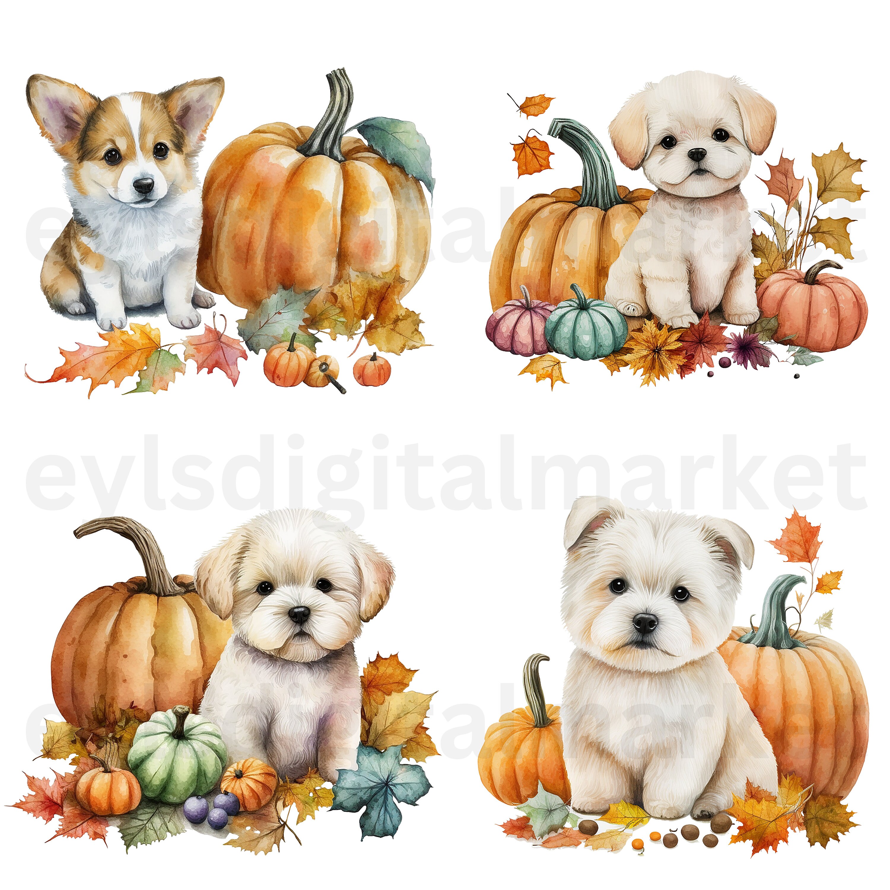 10 Watercolor Dog With Pumpkin Clipart, Cute Animal Puppy, Fall Autumn ...