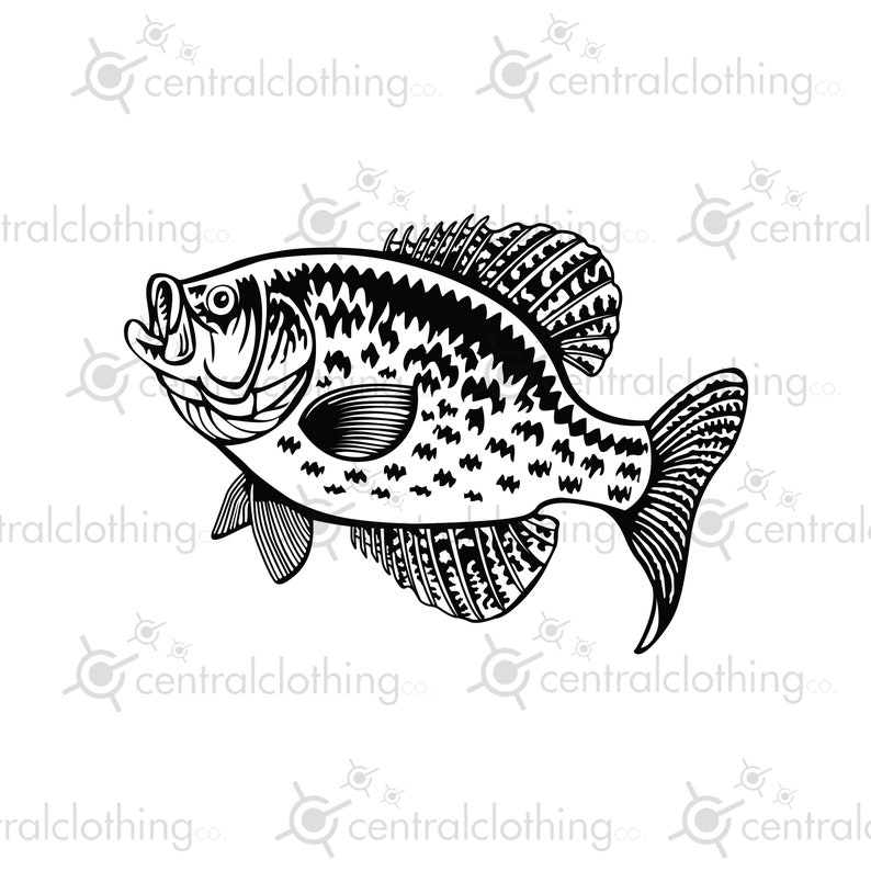 Crappie Fish Clip Art, Pan Fish, Cut File, .png, .svg, .eps, .pdf ...