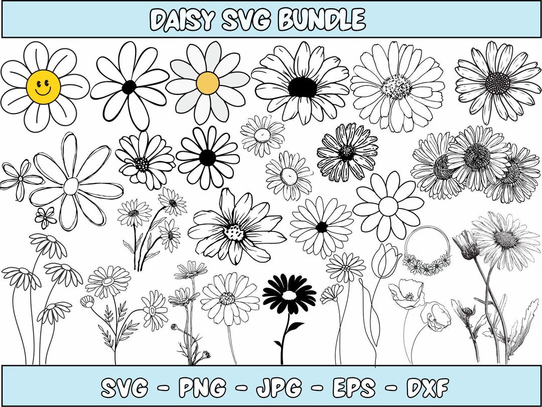 Daisy SVG Bundle: Flower Cut Files for Cricut (digital Download) - Etsy