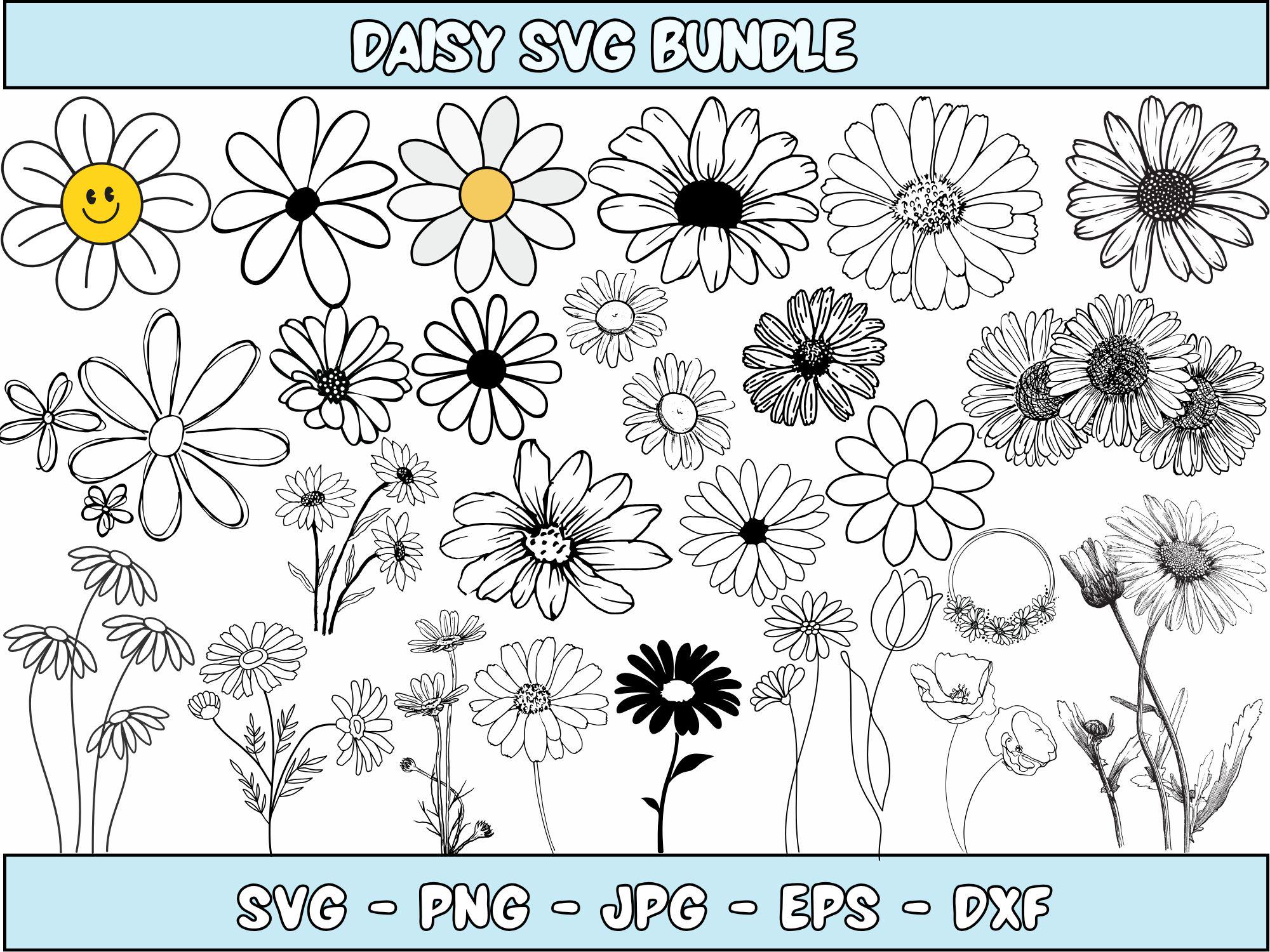 Daisy SVG Bundle: Flower Cut Files for Cricut (digital Download) - Etsy