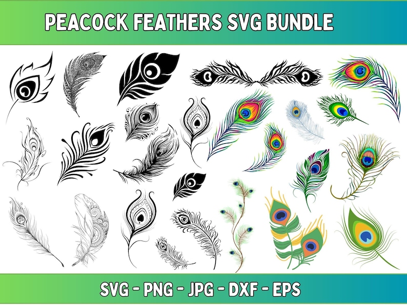 Peacock Feather SVG Bundle PNG DXF Clipart Vector Cut File for Cricut ...