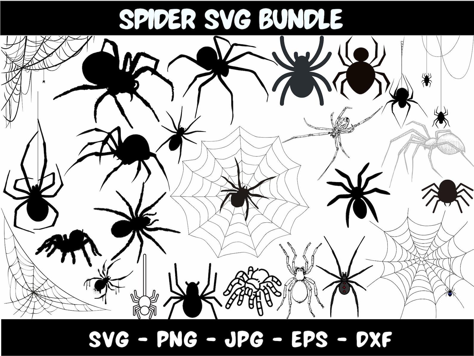 Spider SVG Bundle, Spider SVG, Tarantula SVG, Spider Design, Spider Cut ...