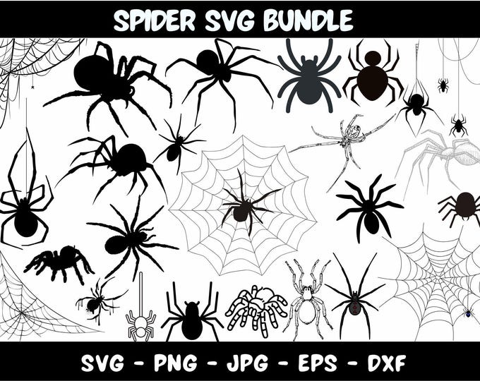 Spider Web Svg - Etsy UK