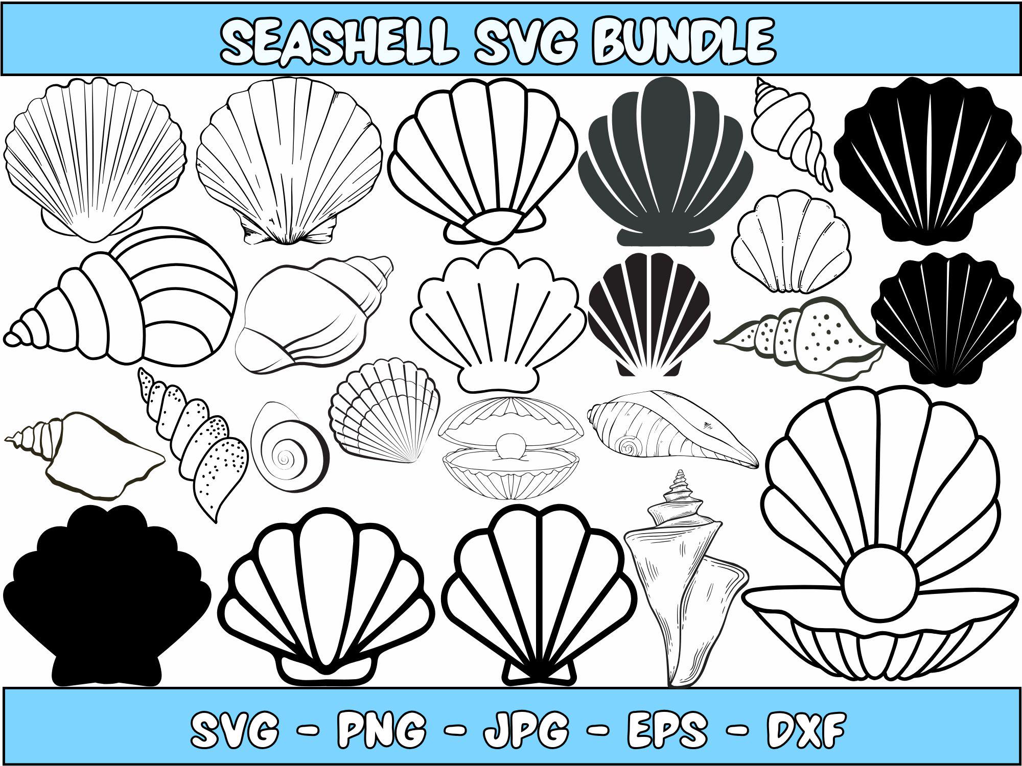 Seashell SVG Bundle: Clipart, Cut Files, Silhouette (digital Download ...