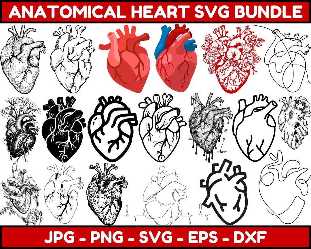 Anatomical Heart SVG Bundle: Floral, Medical, Nurse Life (digital Files ...