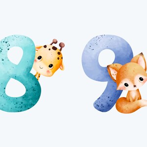 Safari Animals Numbers Clipart: Watercolor PNG, SVG, PDF - Etsy