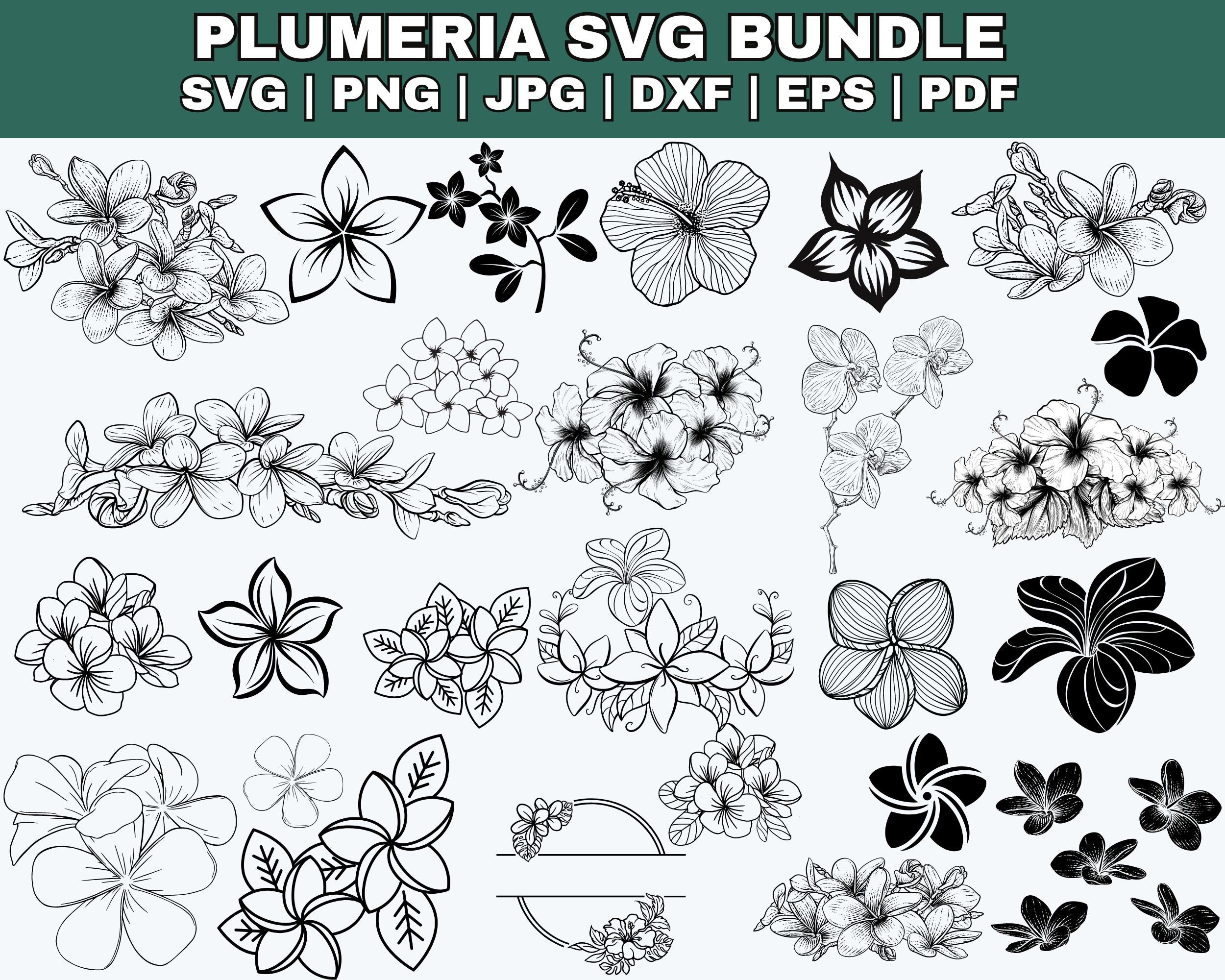 Botanical Plumeria Flower Bundle SVG, PNG Tropical Hawaii Flower ...