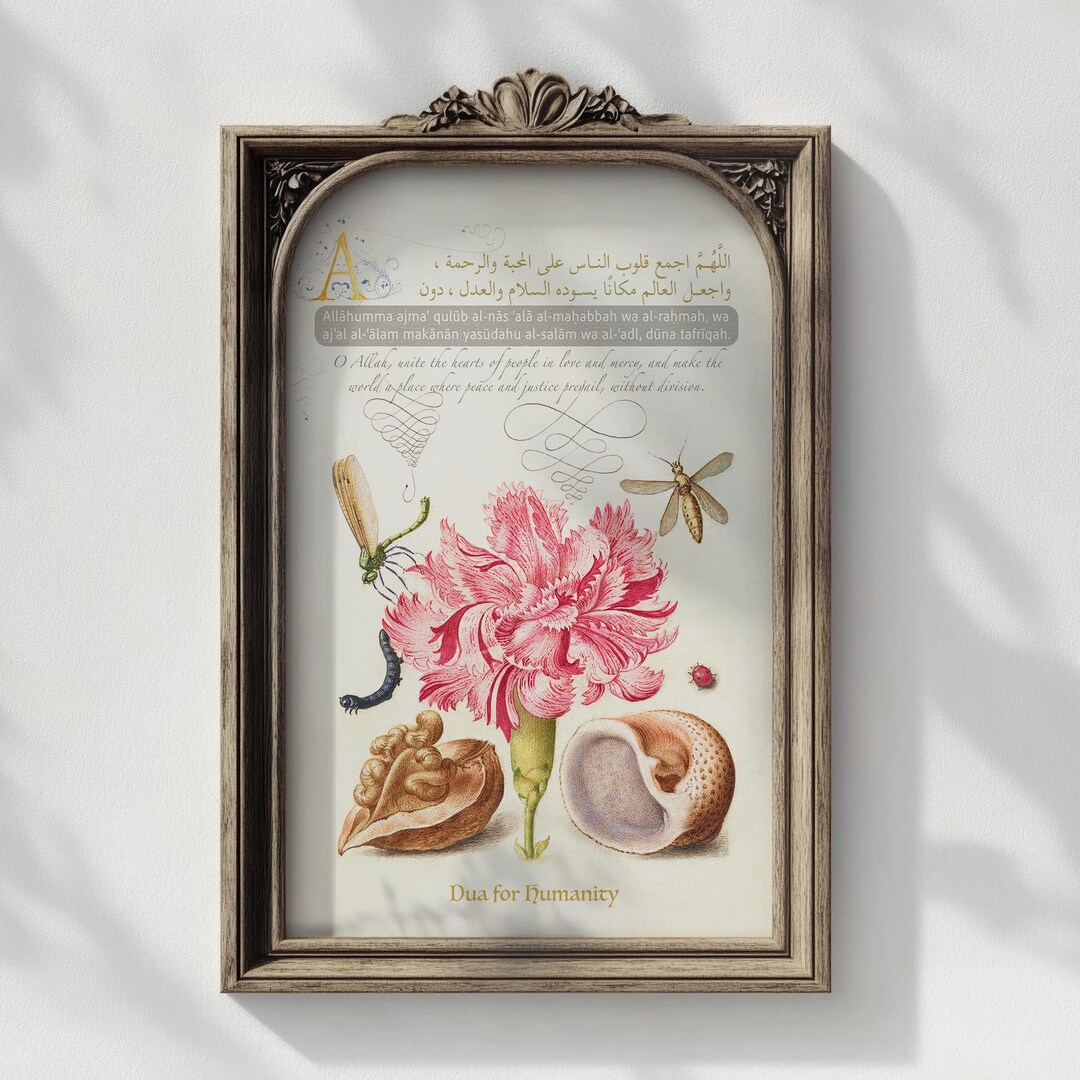 Dua for Humanity Printable Islamic Wall Art, Vintage Pink Carnation ...