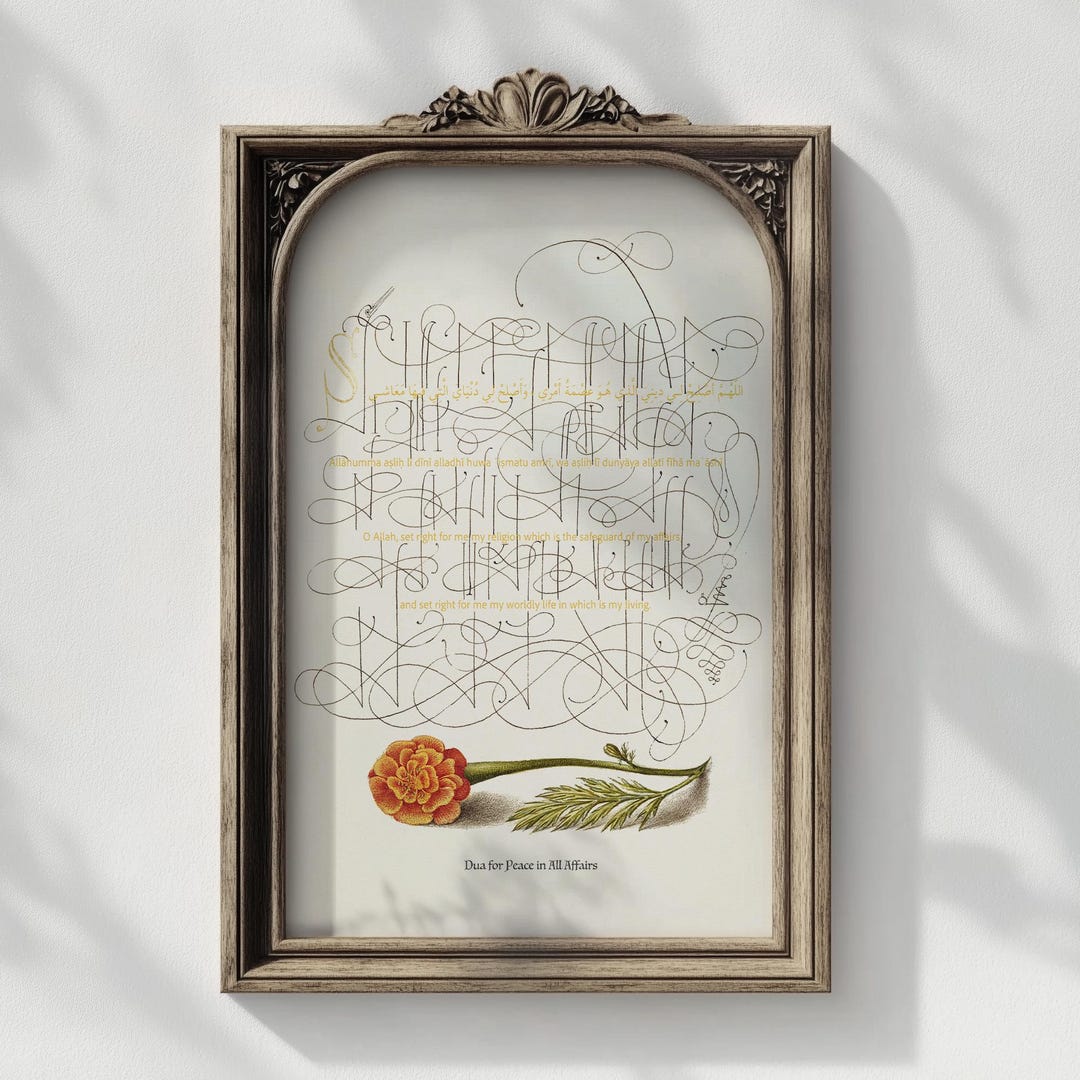 Dua for Peace Printable Islamic Wall Art, Vintage Pink Carnation Insect ...