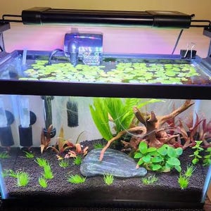 Custom Fit Aquarium Light Riser Sets (fluval 3.0, Custom Original ...