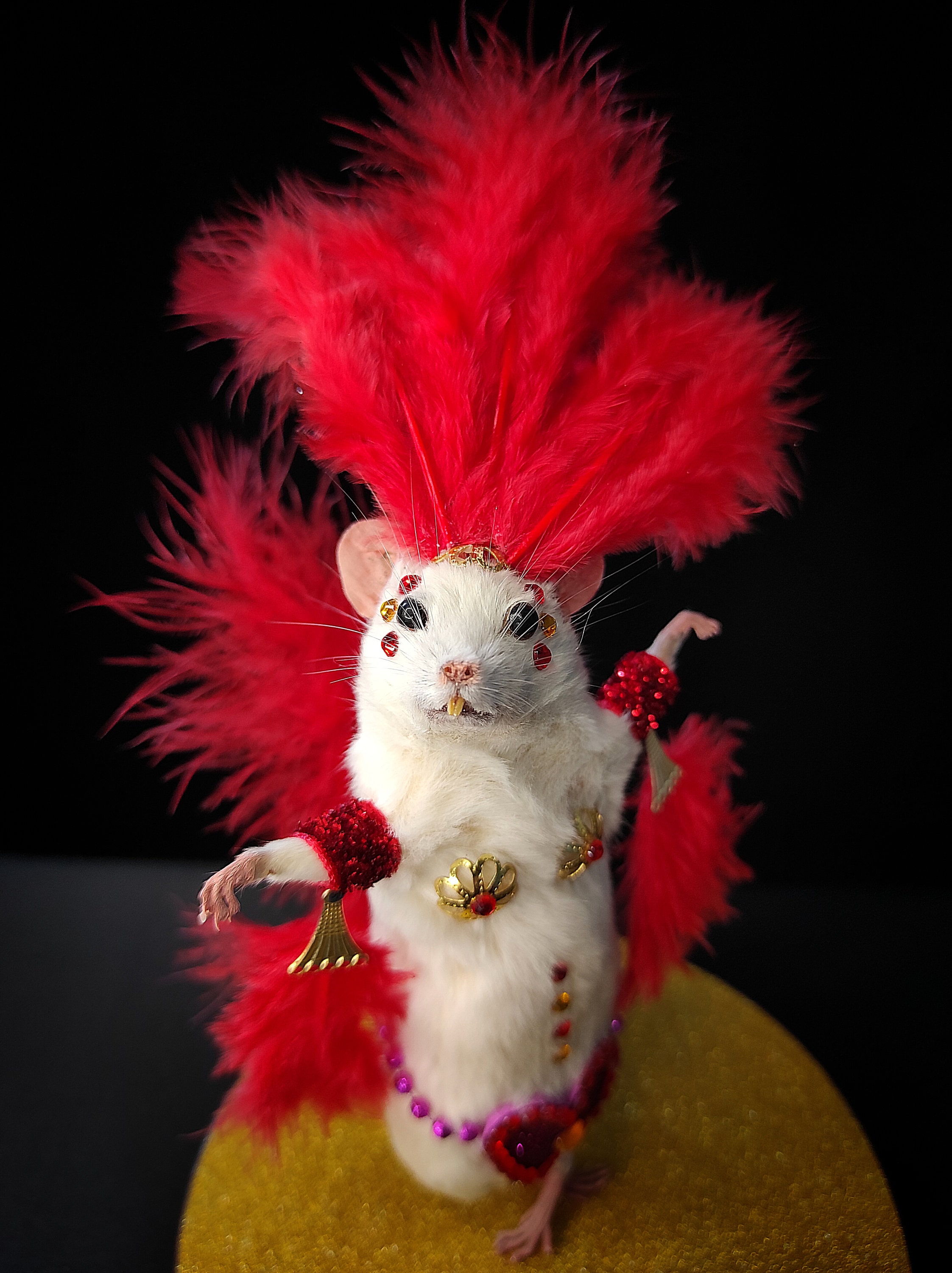 Ginger. Taxidermy Showgirl Mouse - Etsy