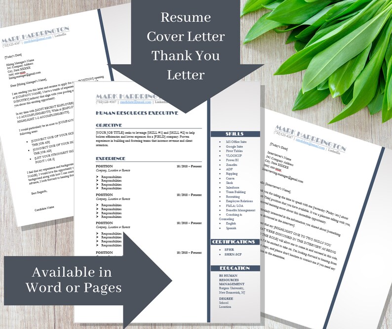 Blue Gray Vintage Resume Template, Cover Letter, Thank You Letter - Etsy