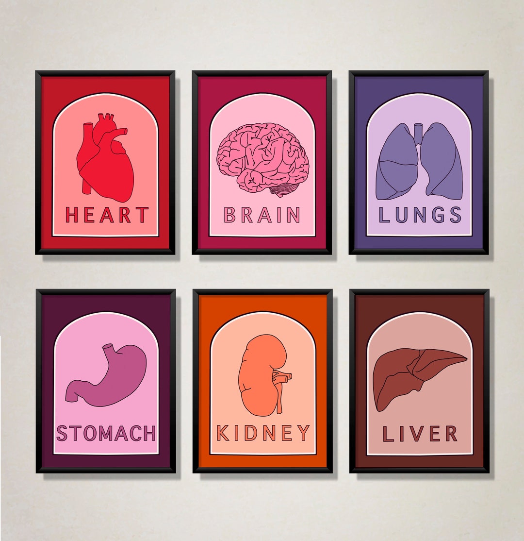 Modern Anatomy Art Set of 6; Colorful Printable Wall Art Set; Anatomy ...