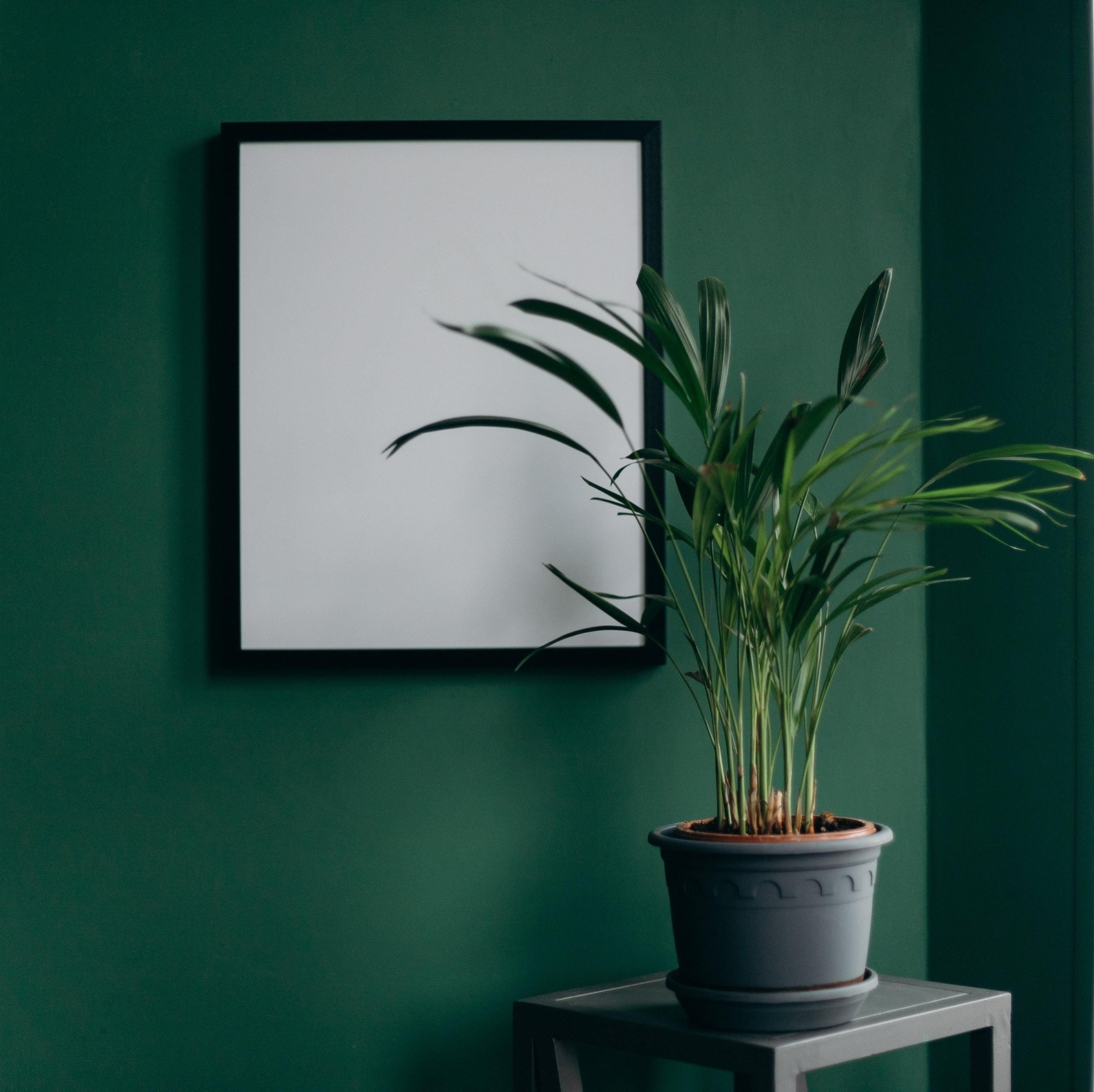 6x6 Picture Frame 6x6 Frame 6x6 Photo Frame 6x6 Poster - Etsy