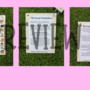 Sensory Integration Guide/ OT Resource/ Hardcopy/ot Pocket Guide ...