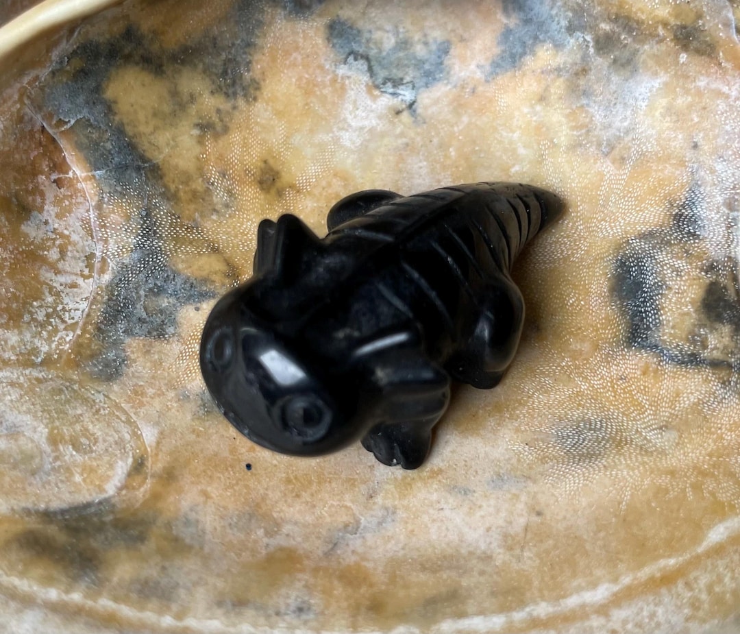 Black Obsidian Axolotl Cutie Crystal Carving/figurine - Etsy