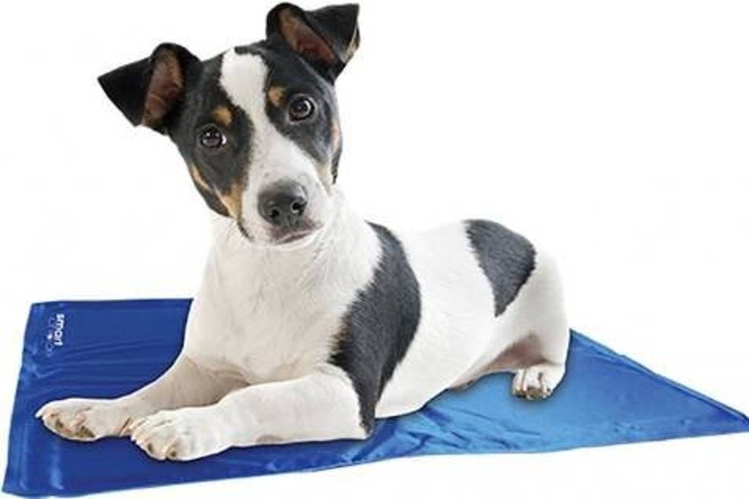 Pet Cooling Matt. Blue - Etsy