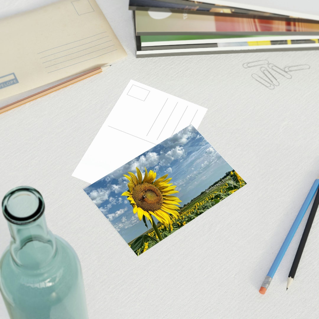 Sunflowers in Rural Iowa Postcards 10pcs - Etsy