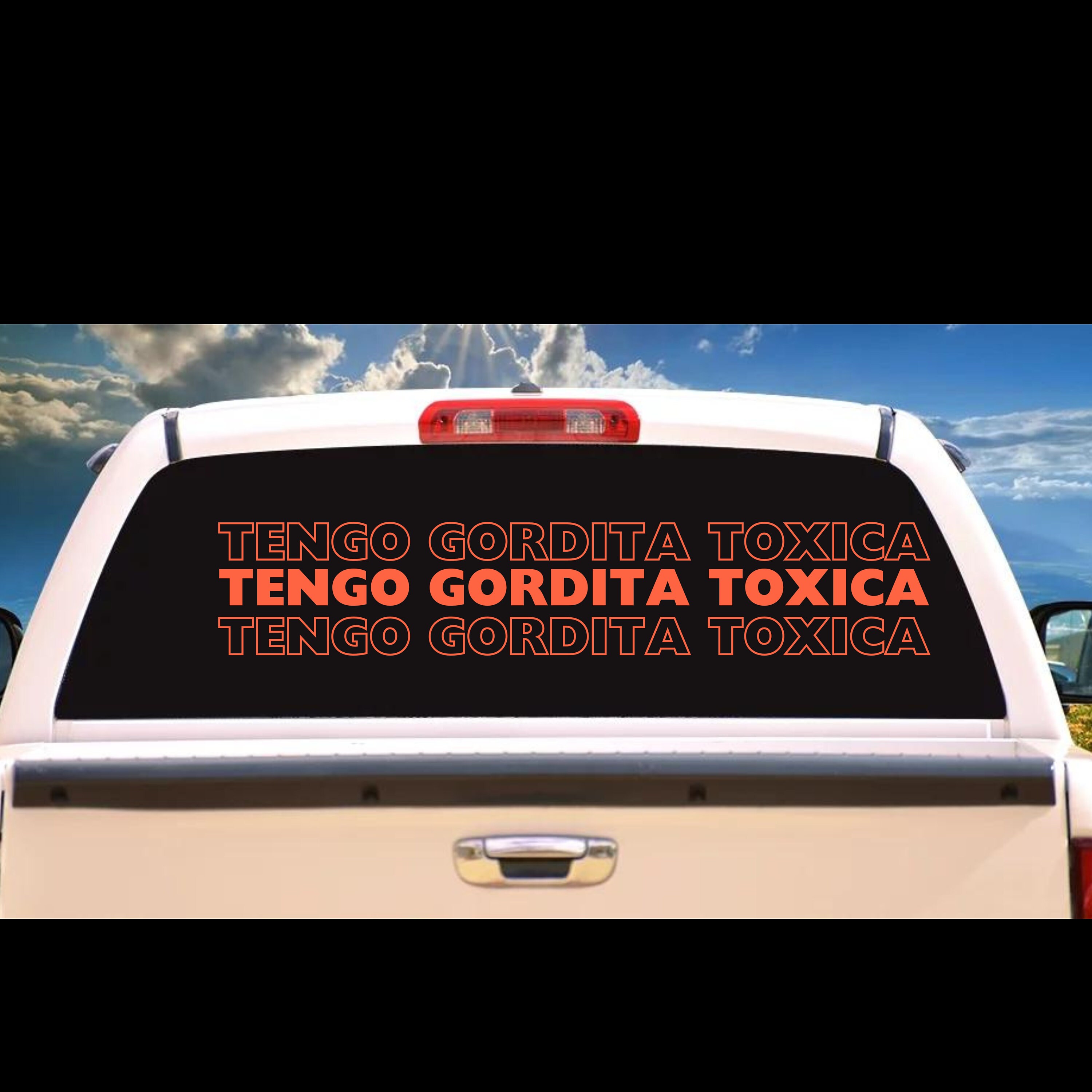 Toxica and Toxico Matching Car Decals - Etsy