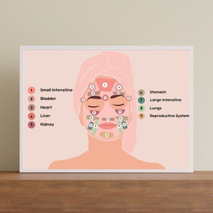 Acne Face Map Downloadable Poster Print - Etsy