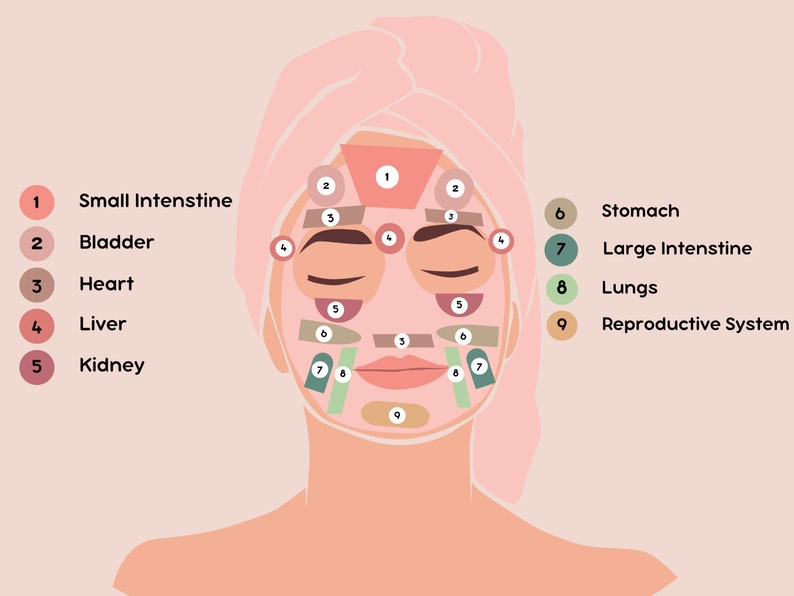 Acne Face Map Downloadable Poster Print - Etsy