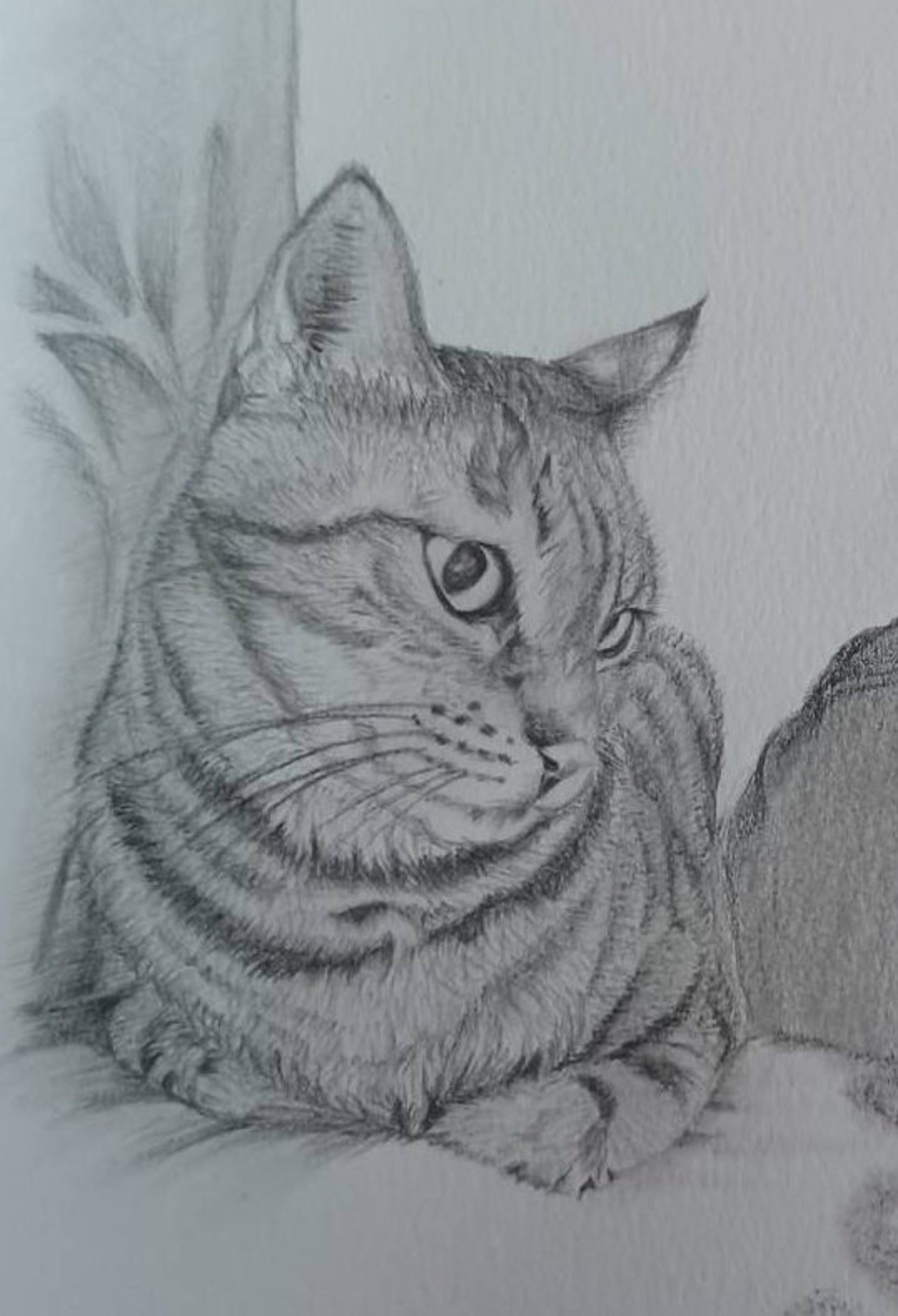 Dog Pencil Portrait, Custom Personalized Hand Drawing Pet Sketch From ...