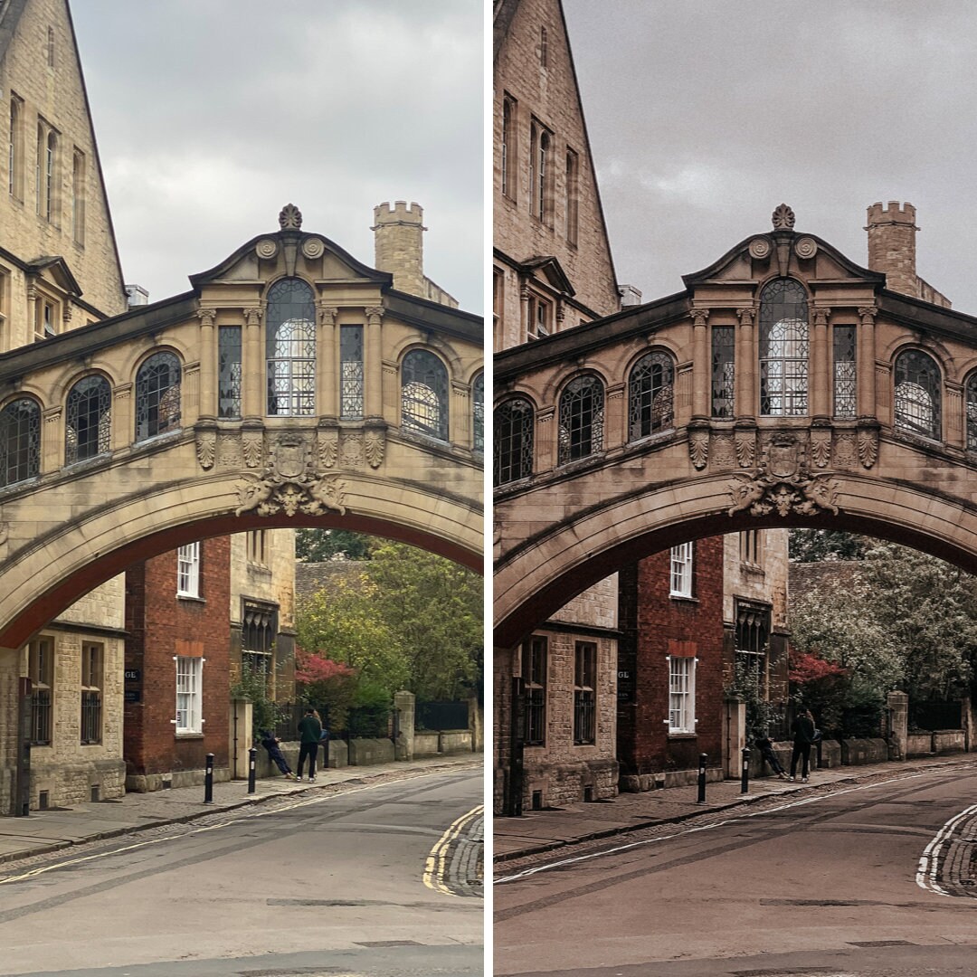 Dark Academia Lightroom Mobile Preset Filter Dark, Studious, Grain ...