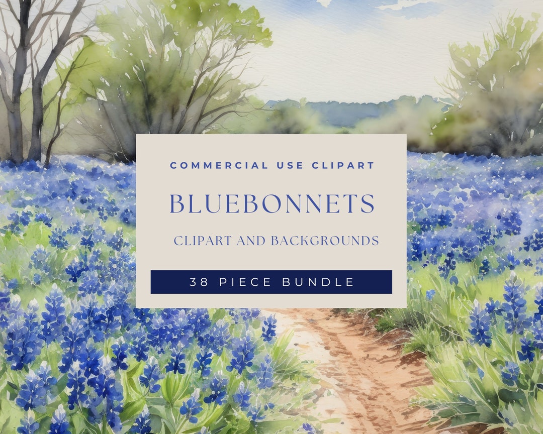 38 Piece Bluebonnet Clipart and Backgrounds Bundle - Etsy