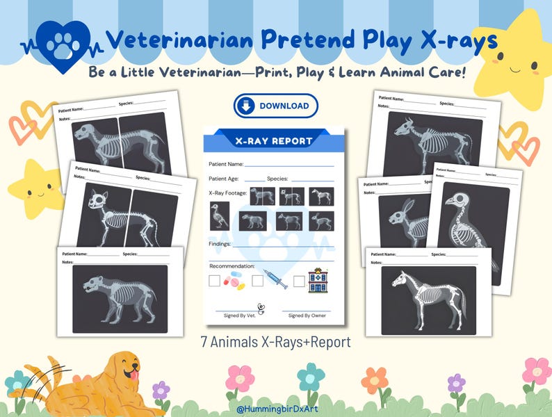 Printable Animal X-rays & Report for Kids | Vet Role Play Pretend Play ...