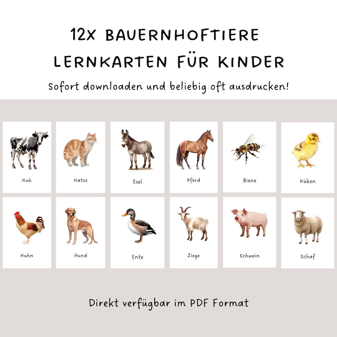 12x Lernkarten Tiere für Kinder zum ausdrucken | Bildkarten Set ...