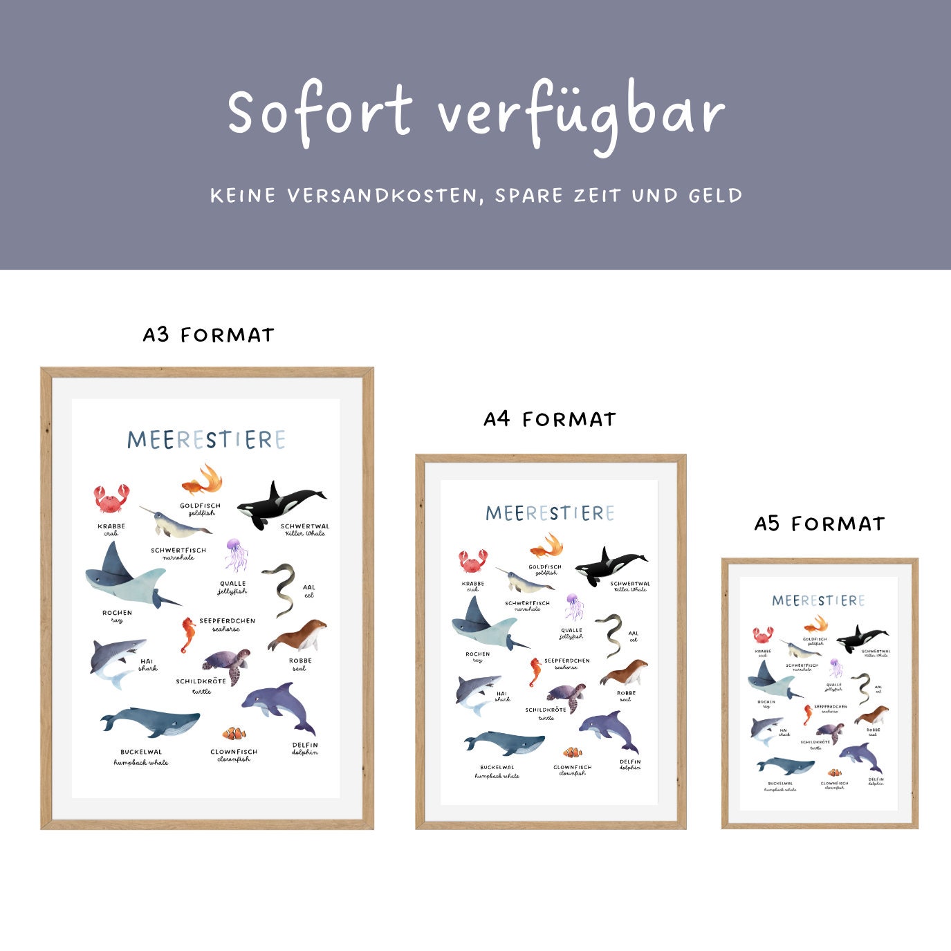 Learning Poster Set for Children Educational Poster Dinosaurs, Sea ...