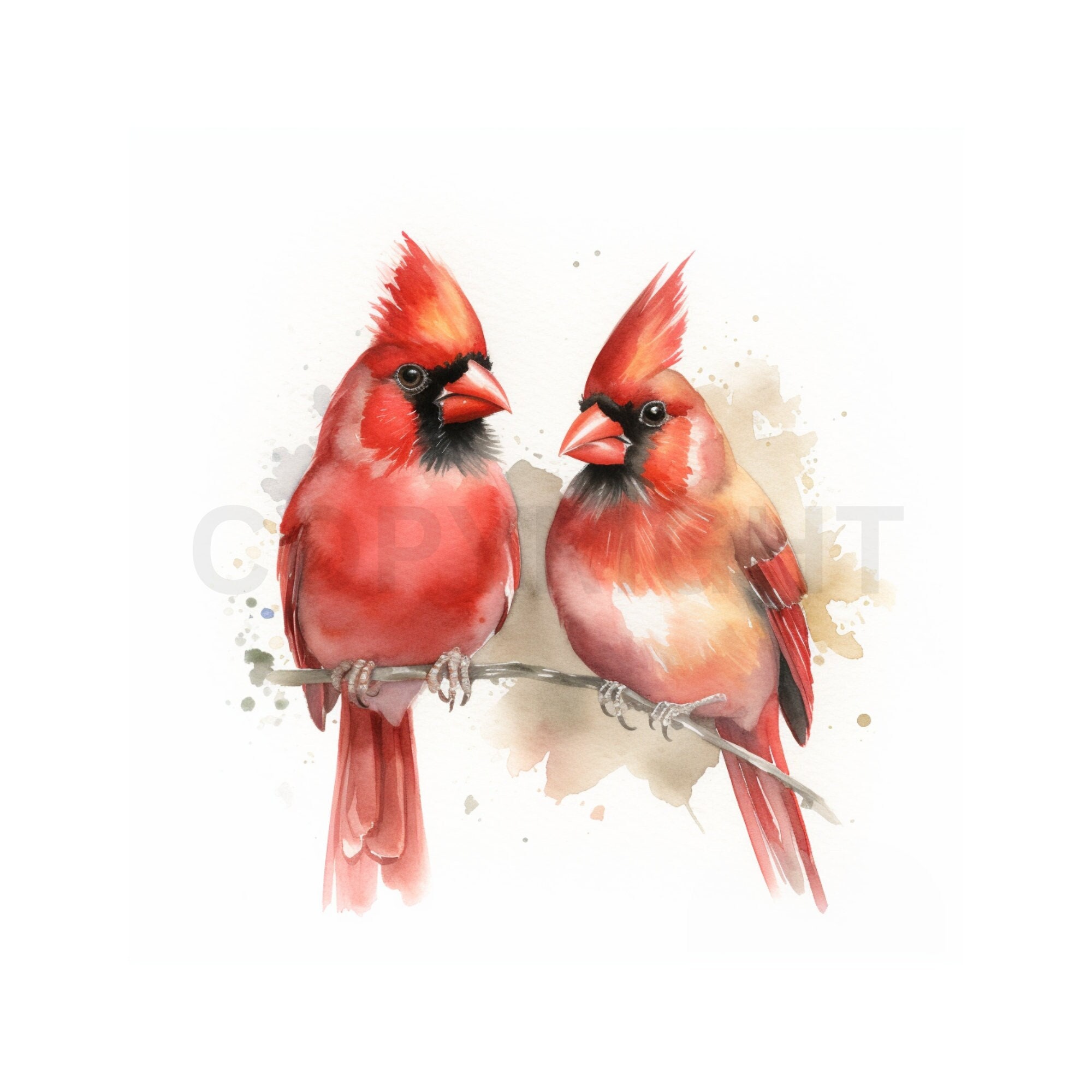 Red Cardinal Clipart 8 Jpgs Red Cardinal Bird Clip Art Watercolor ...