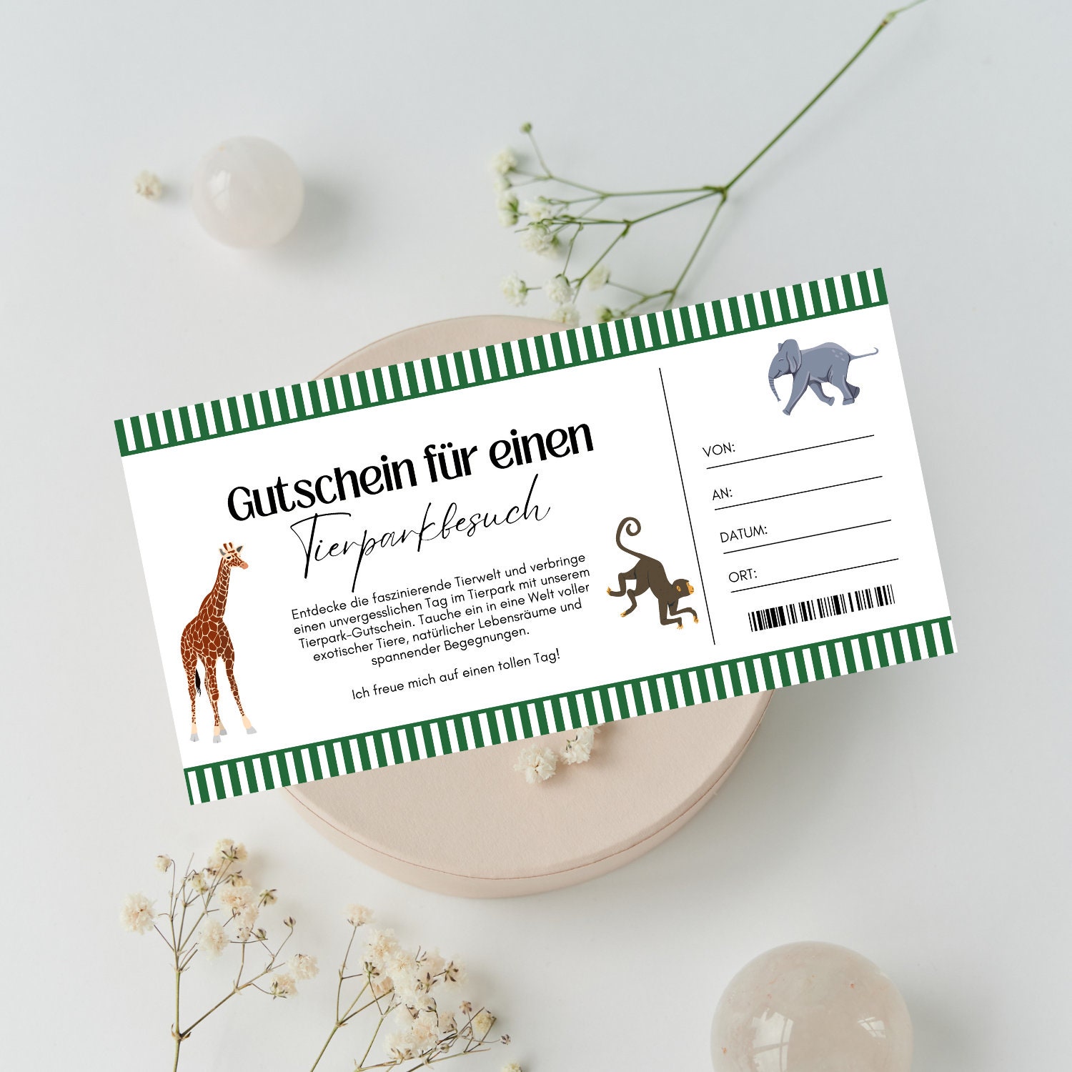Animal Park Voucher Template | Zoo Voucher to Print Out | Voucher ...