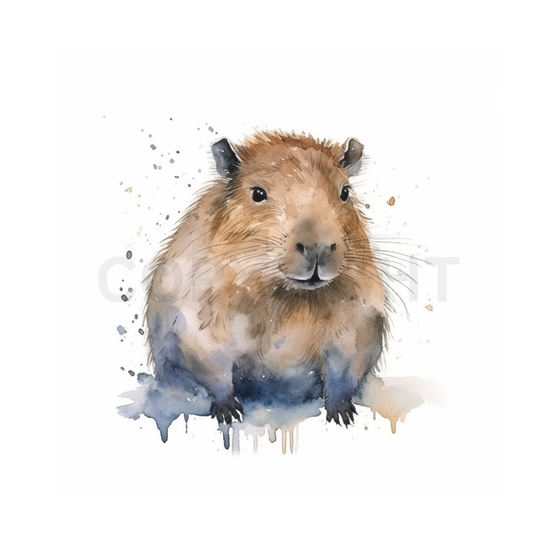 Capybara Clipart 8 Jpgs Capybara Clip Art Watercolor Digital Download ...