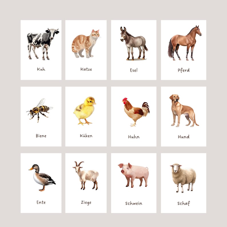 12x Lernkarten Tiere für Kinder zum ausdrucken Bildkarten Set ...