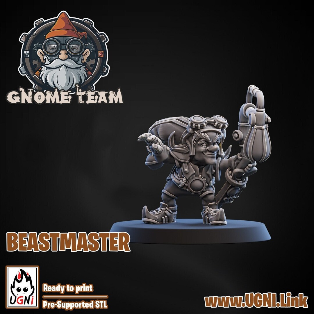 Beastmaster Different Versions -gnomes Team -fantasy Football ...