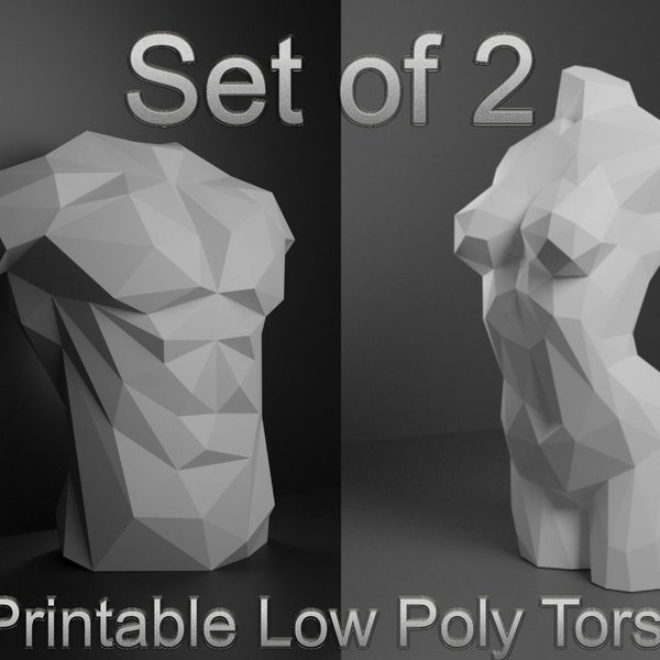 Female Torso 3d Stl File for 3d Printing - Etsy