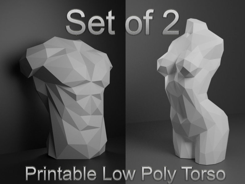 Male and Female Torso Low Poly Set of 2 3D Printable Models - Etsy