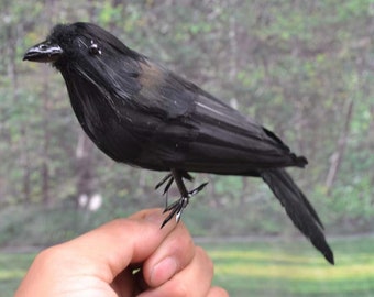 Halloween Fake Crow - Etsy