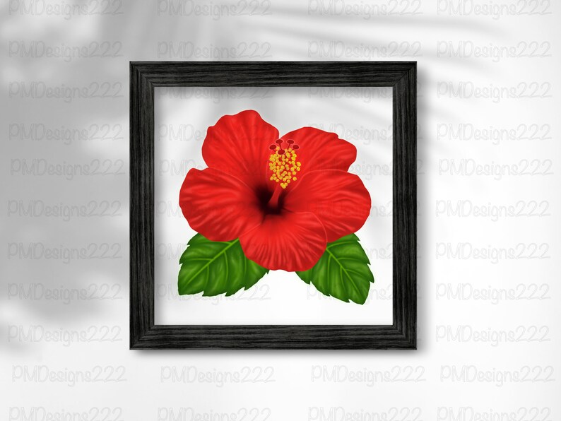 Red Hibiscus Flower Digital Printable, Hibiscus Flower Clipart, Red ...
