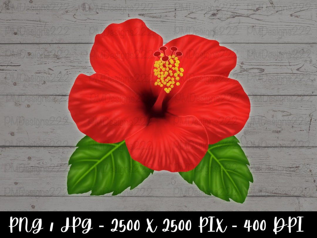 Red Hibiscus Flower Digital Printable, Hibiscus Flower Clipart, Red ...