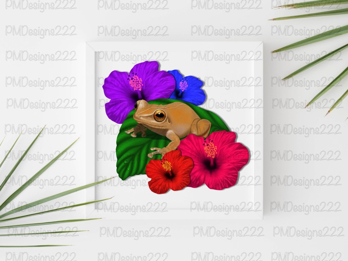 Hand Drawn Coqui Png, Frog Png, Tropical Clipart, Puerto Rican Digital ...